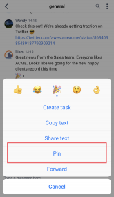Pin important messages – Сhanty Help Center